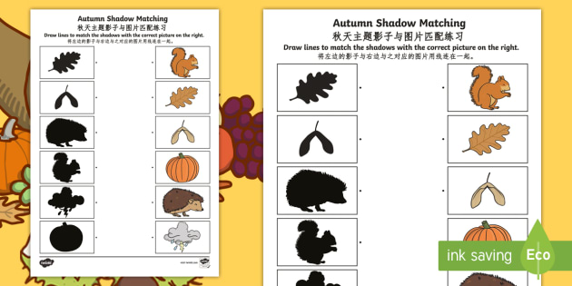Autumn Shadow Matching Worksheet / Worksheet English/Mandarin Chinese ...