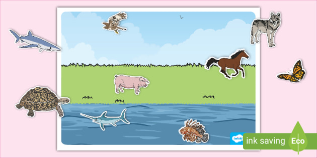 Large Animal Sorting Background (teacher made)