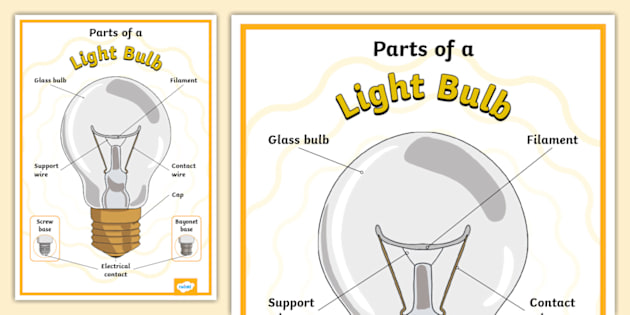 Anatomy Of A Light Bulb