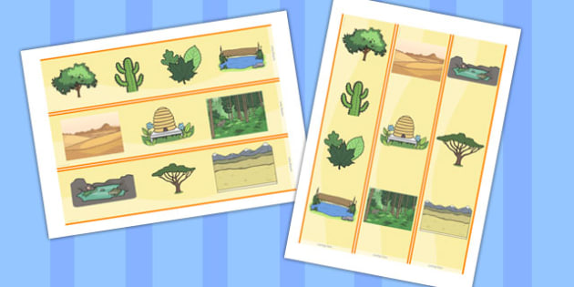 Habitats Display Borders (teacher made)