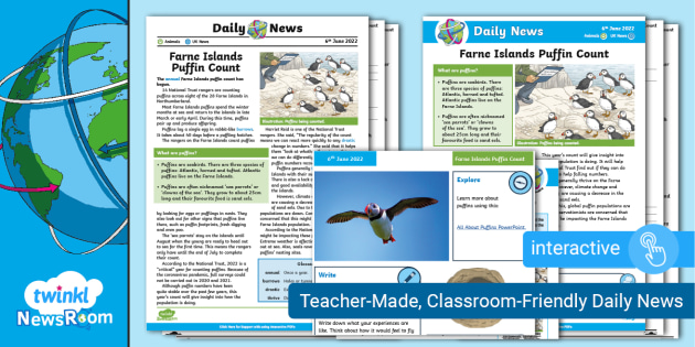Farne Islands Puffin Count - KS2 Reading Comprehension