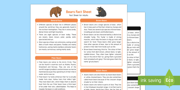 Bears Fact Sheet for Adults - EYFS, Early Years, KS1, Understanding the