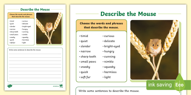 Describe the Mouse Writing Activity (teacher made)