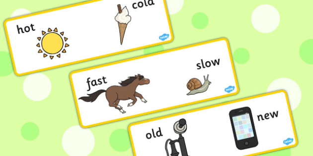 Basic Concept Cards (teacher made)