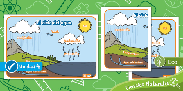 El Cartel Imprimible Del Ciclo Del Agua Storyboard