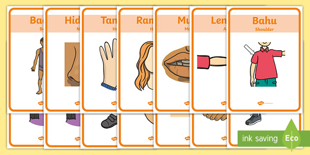 My Body Display Posters