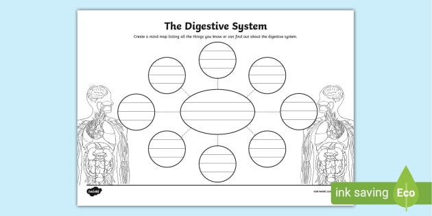 The Digestive System Mind Map (teacher made)