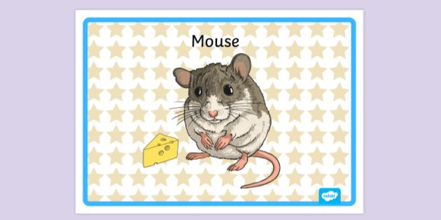 Mouse With Cheese Display Poster | Primary Resources