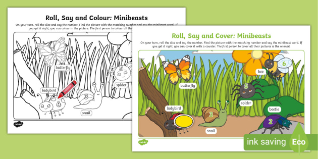 Roll and Say: Minibeasts (teacher made)