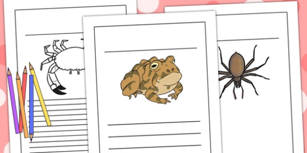 Minibeasts Writing Frames (teacher made)
