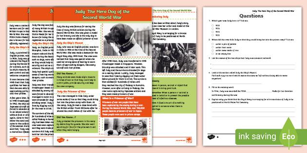UKS2 Judy: The Hero Dog of the Second World War Differentiated Reading