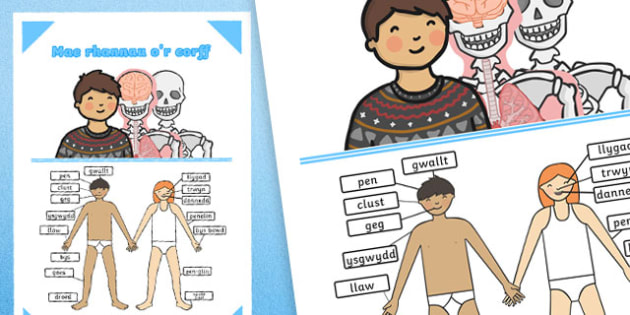 Mae rhannau o'r corff Welsh - bodies, posters, displays, display