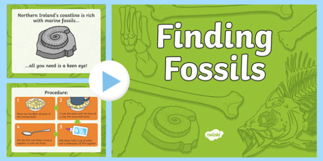 Finding Fossils PowerPoint (teacher made)