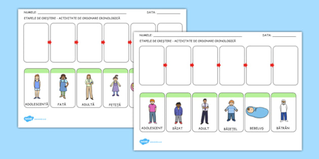 Etapele de creștere și dezvoltare - Fișă de lucru