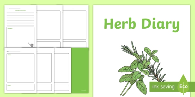 Growing Herbs Diary Writing Frames - Growing Cress Diary Writing Frames