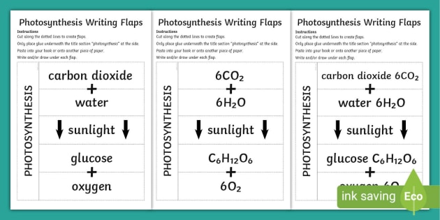 Photosynthesis Writing Flaps