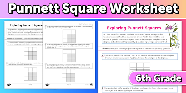 Blank Punnett Square Practice