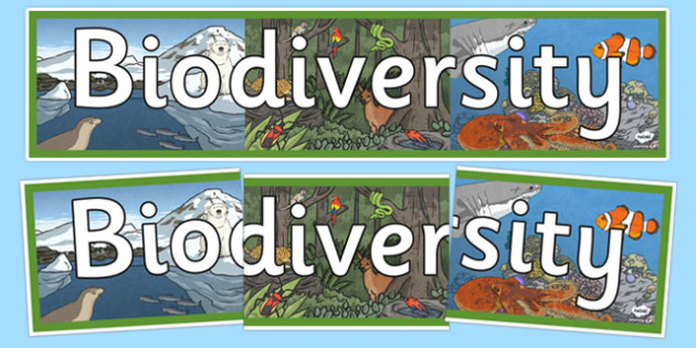 Biodiversity Display Banner (teacher made)