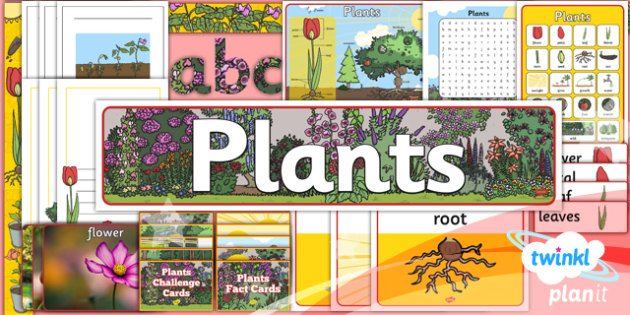 Science: Plants Year 1 Unit Additional Resources Science: Plants Year 1 Unit Additional Resources
