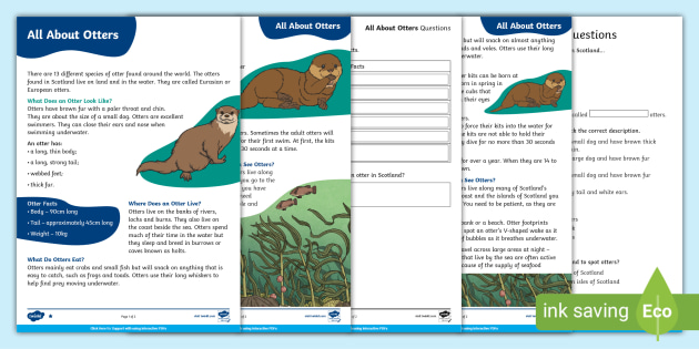 Interactive PDF: Otters Differentiated Reading Comprehension