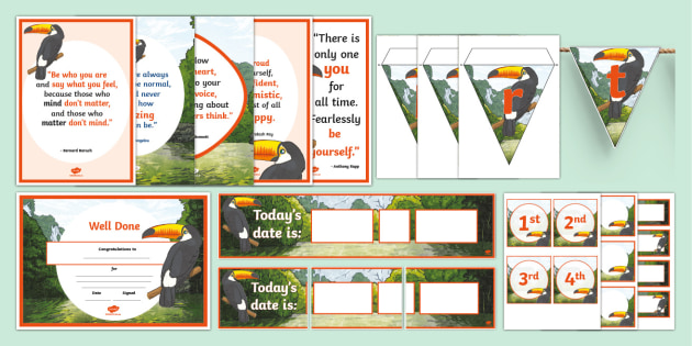 Tropical Toucan Display Pack (teacher made)