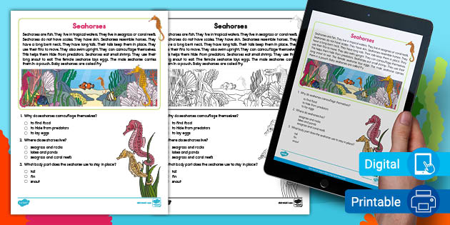 First Grade Seahorses Reading Passage Comprehension Activity