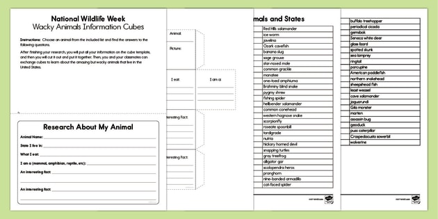 National Wildlife Week Wacky Animals Information Cubes