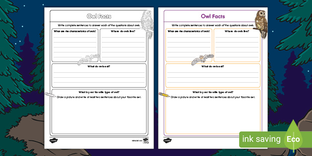 Owl Facts Writing Activity