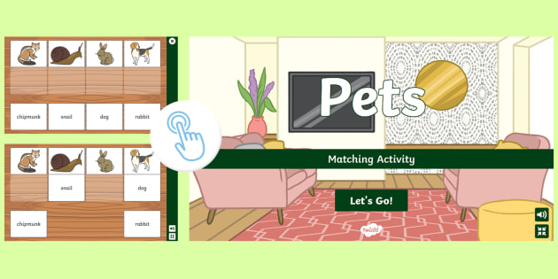 Pets Interactive Matching Activity