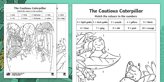 The Cautious Caterpillar Colour by Number (teacher made)