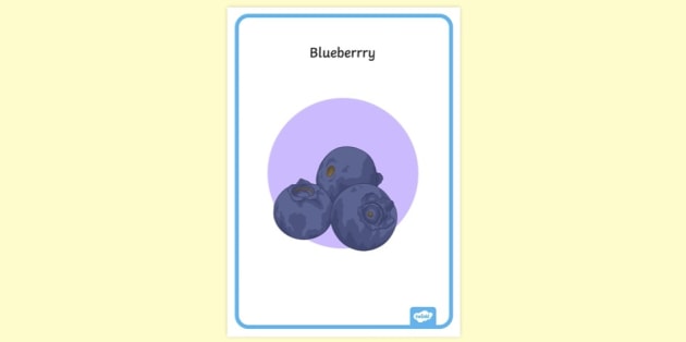 FREE! - Blueberry Poster Display | Primary Resources