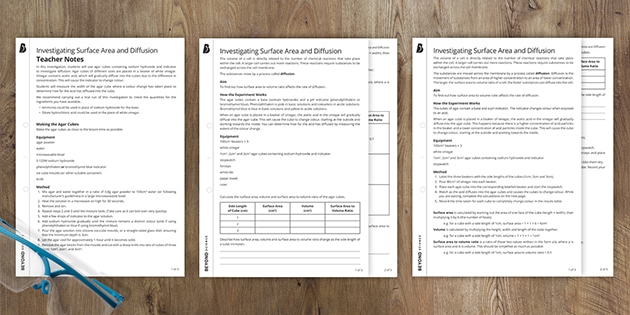 Surface Area and Diffusion Practical Investigation | Beyond