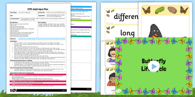 Butterfly Life Cycle Mind Map Starter Activity EYFS Adult Input Plan and