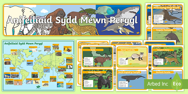 Pecyn Arddangos Anifeiliaid Sydd Mewn Perygl (teacher made)