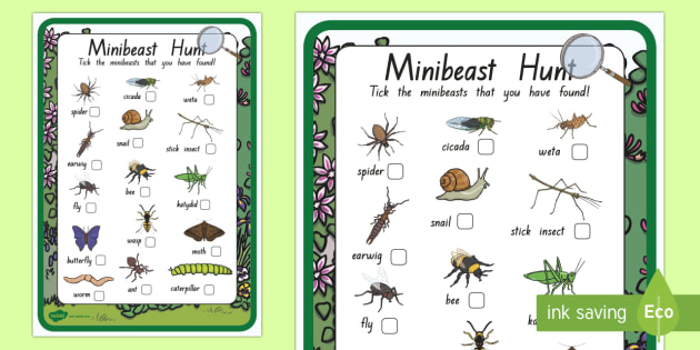 New Zealand Minibeast Hunt Checklist (Teacher-Made)