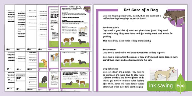 Pet Reading Comprehension PDF Activity | Pet Care of a Dog