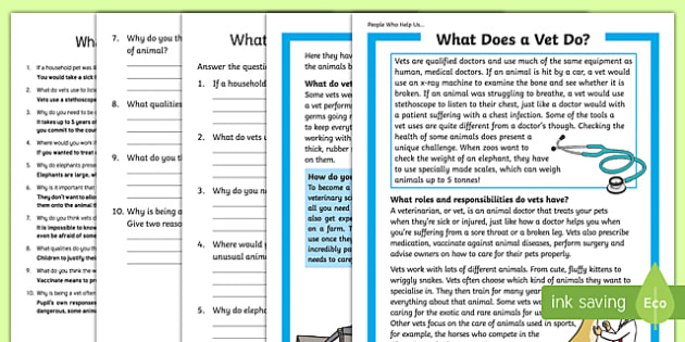 What Does A Vet Do? Reading Comprehension (teacher made)