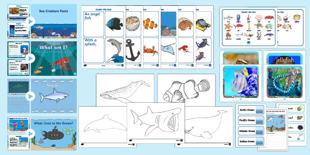 World Ocean Day CfE Early Level Resource Pack (teacher made)