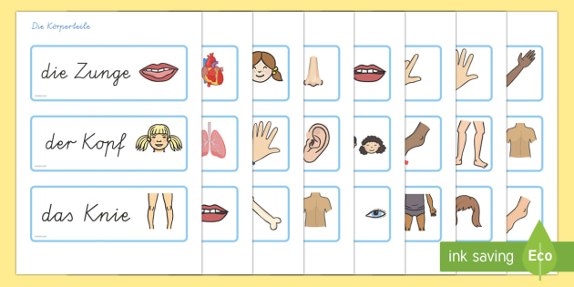 Die Körperteile Topic Word Cards German (teacher made)