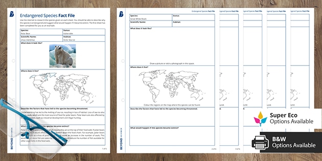 Endangered Species Fact File Worksheets | Beyond