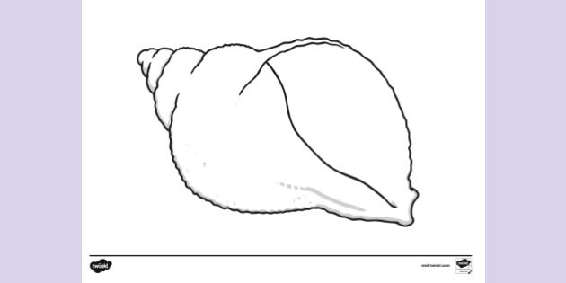 FREE! - Common Whelk Colouring Sheet | Colouring Sheets