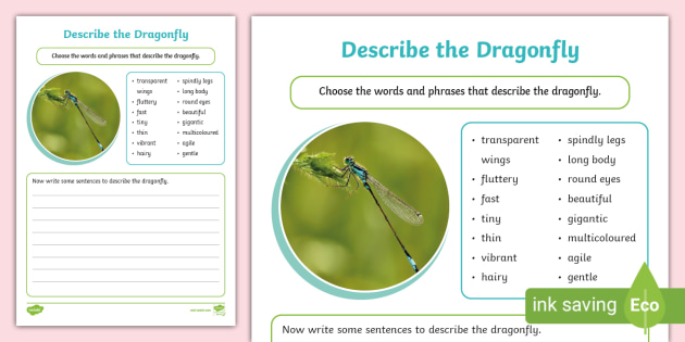 * NEW * Describe the Dragonfly Writing Worksheet,Dragonfly