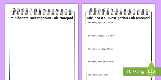 Minibeasts Investigation Lab Notepad