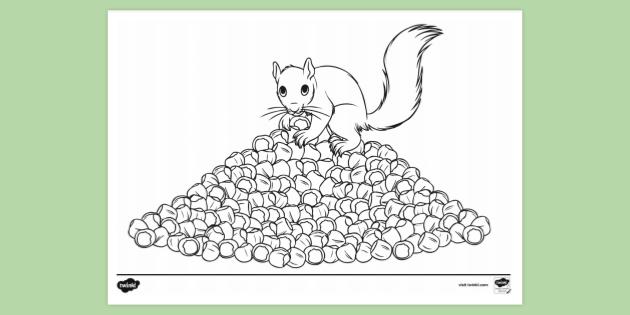 FREE! - Squirrel Collecting Nuts Colouring | Colouring Sheets