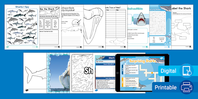Kindergarten Worksheets | twinkl.com