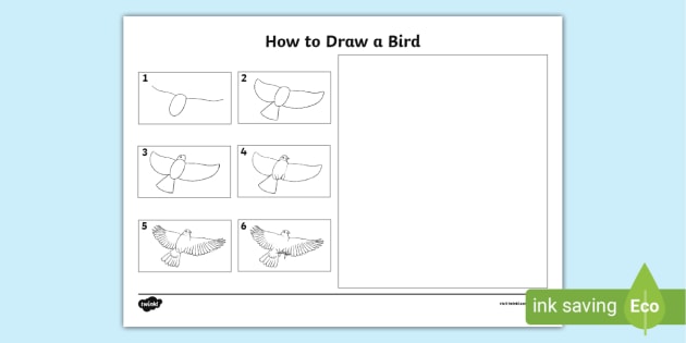 How to Draw a Bird Activity - (teacher made)