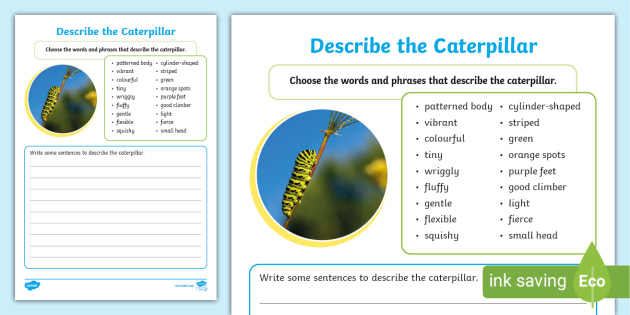 Describe the Caterpillar Writing Activity (teacher made)