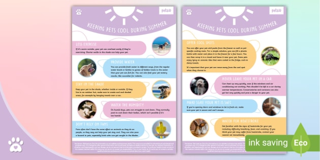 How to Keep Pets Cool - Information Sheet - Summer - Pets