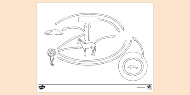FREE! - Carbon Cycle Unlabelled Colouring | Colouring Sheets