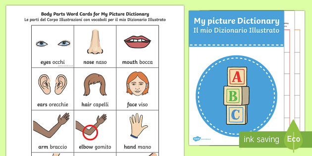 Picture Dictionary Body Parts My Picture Dictionary - Picture ...